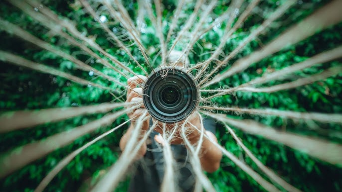 5 Creative Photography Techniques to Capture Stunning Images for Your ...